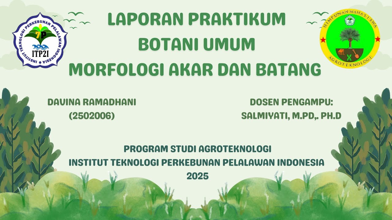 LAPORAN PRAKTIKUM MORFOLOGI AKAR DAN BATANG - BOTANI UMUM - YouTube