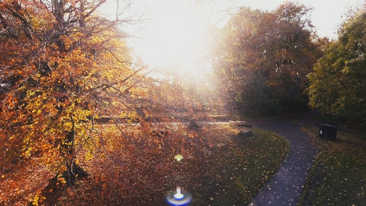 Parks and Green Spaces – studying at Newcastle University - YouTube