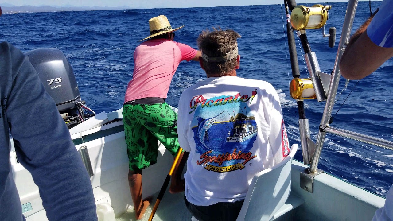 Huatulco fishing-January 2019 4K - YouTube