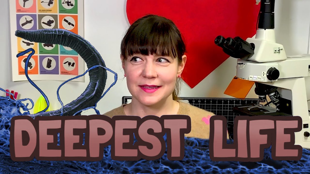 What is the deepest life on Earth? - YouTube