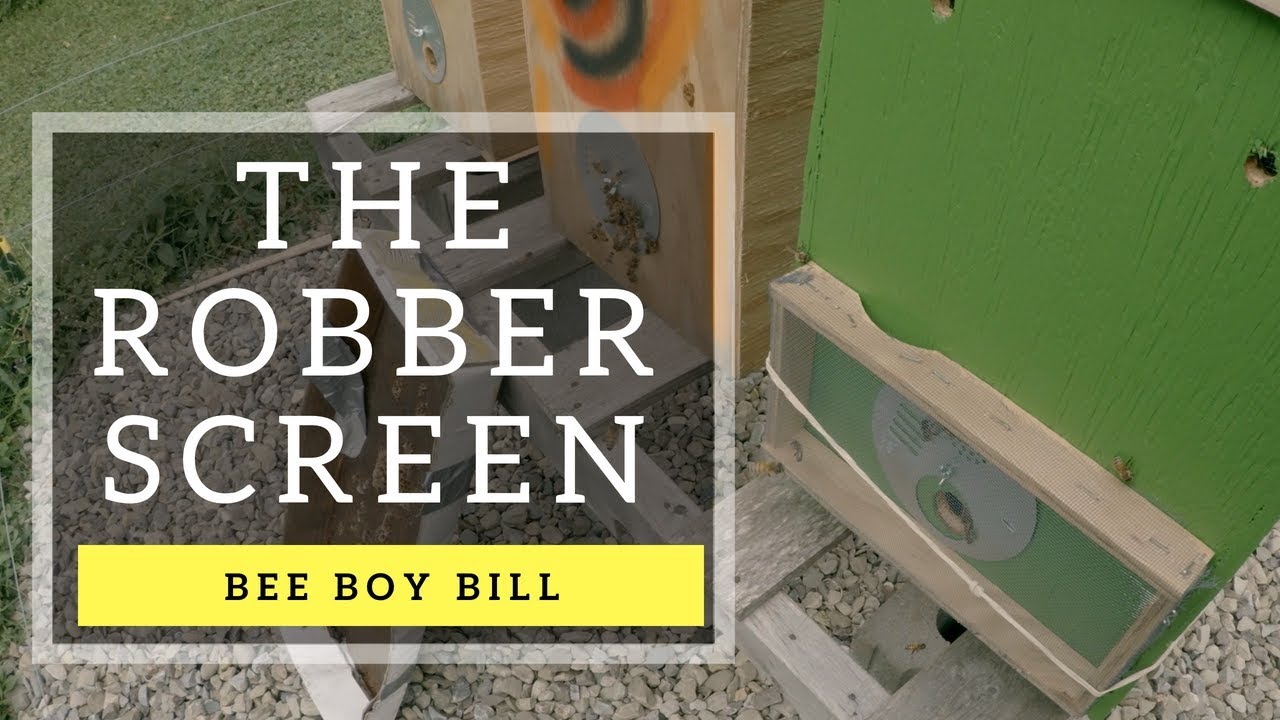 Robber Screen - YouTube