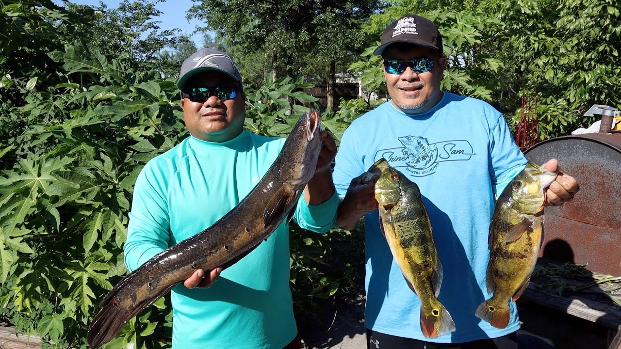 My First Peacock Bass Fishing Clean & Cook - YouTube