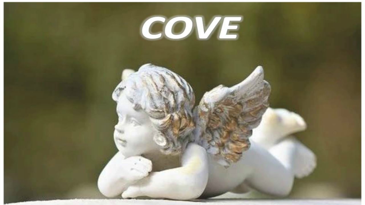 COVE! WHAT DO YOU MEAN? - YouTube