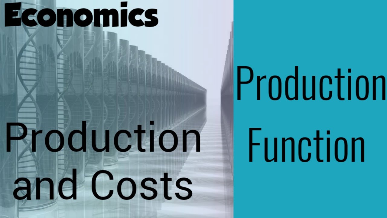 Economics: Production and Cost- Meaning of Production function - YouTube