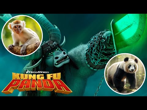 Learn Animals with 'Kung Fu Panda' | 07 | Wildlife Adventure | Storyline