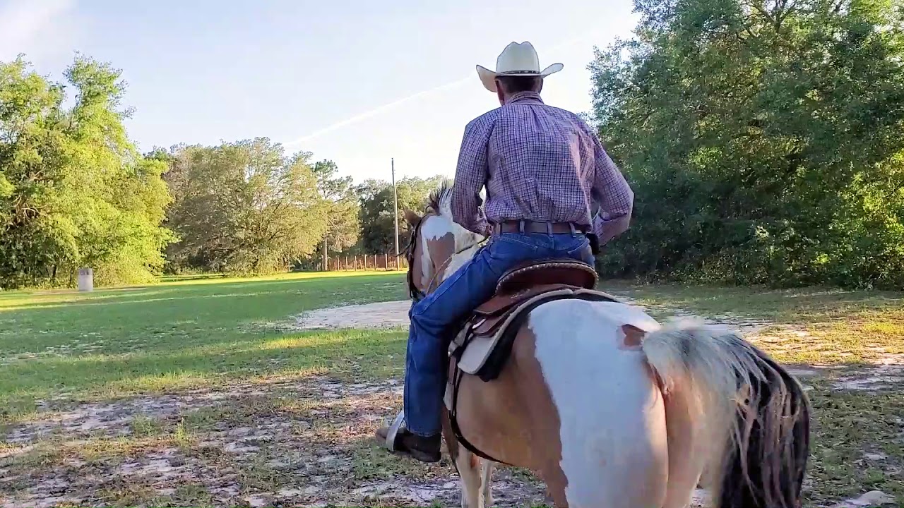 PAINT HORSE TROTTING | LOPING | BARREL PATTERNS | A TRU DRUMMER - YouTube