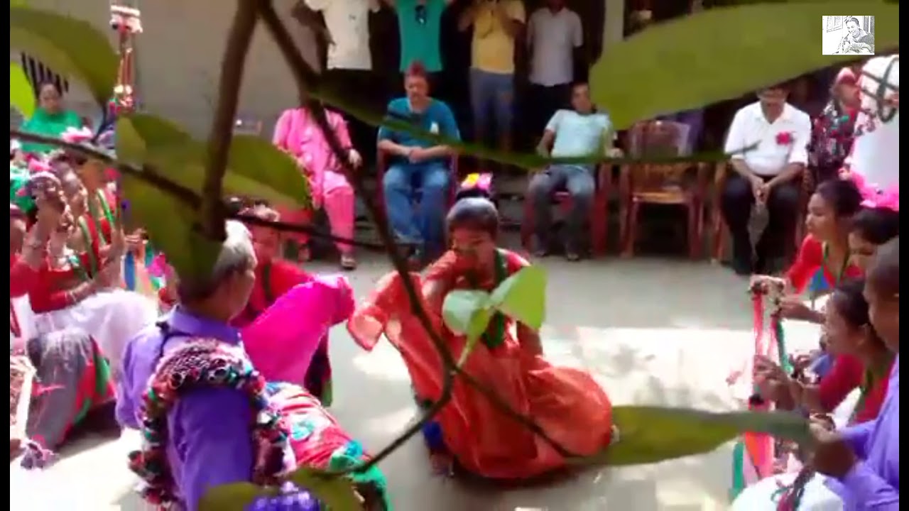 Traditional Tharu Dance from Thakurdwara, Bardia 4K Quality - YouTube