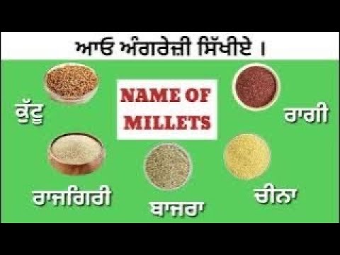 NAME OF MILLETS & CEREALS IN ENGLISH I #millets #milletsname #english ...
