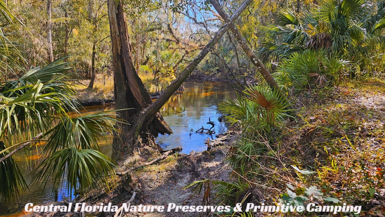 Central Florida Nature Preserves & Primitive Camping - YouTube