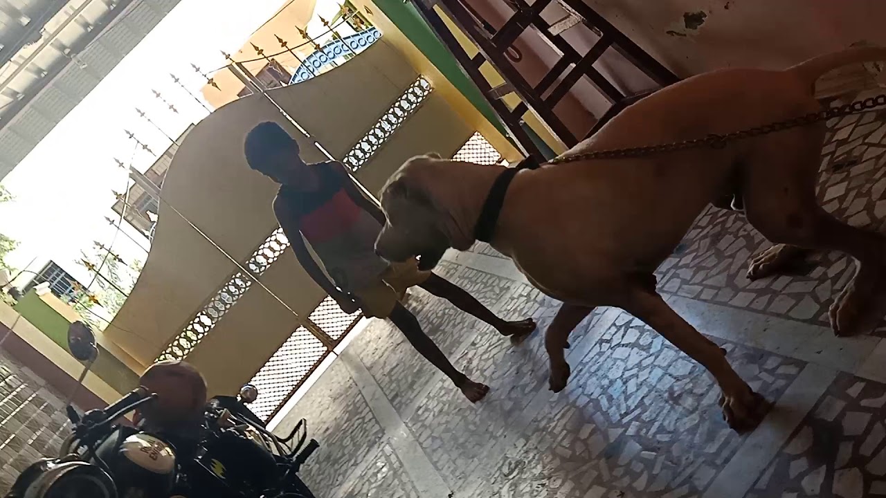 October 8, 2019 - YouTube
