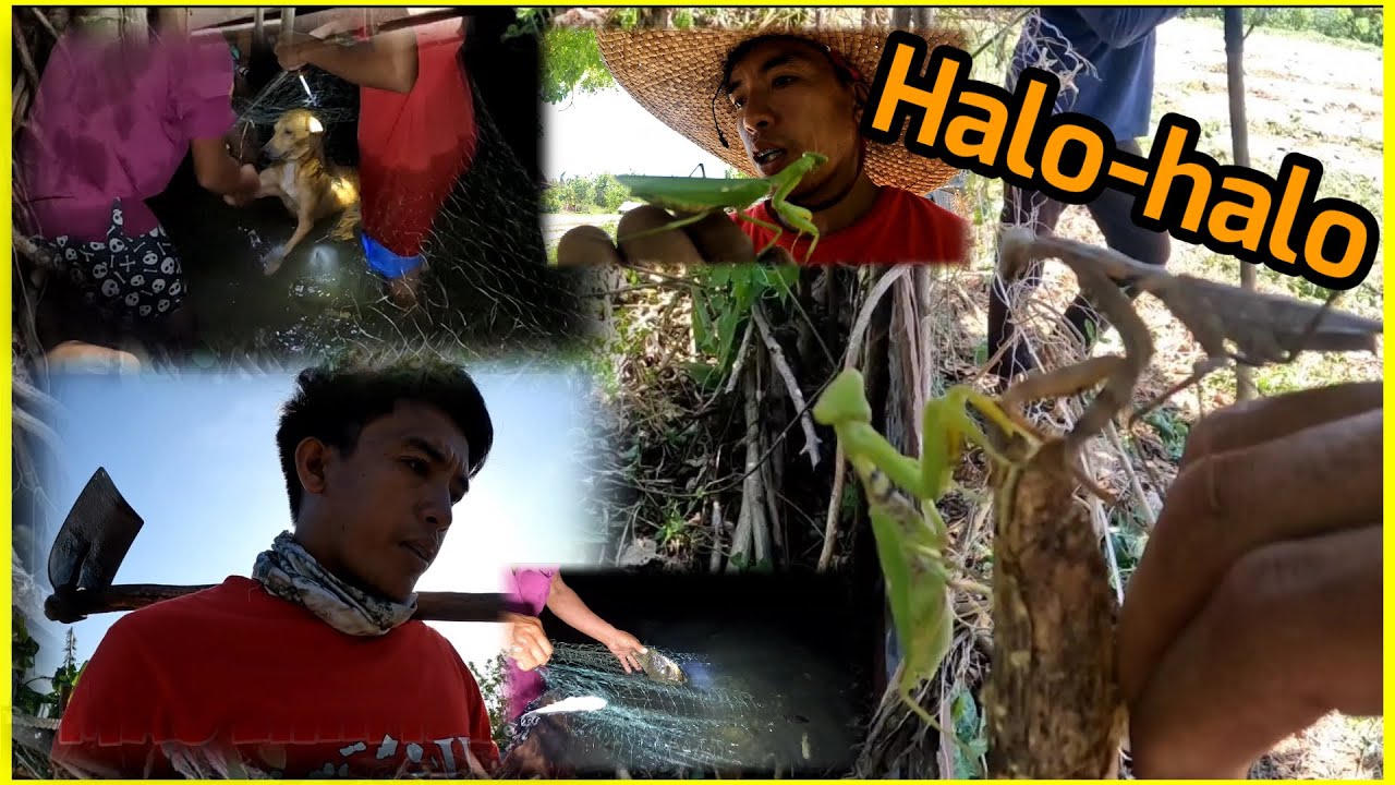 ASSORTED 4 DAYS VLOG : with Banong and Pol friends, DAMI NANGYARI - YouTube