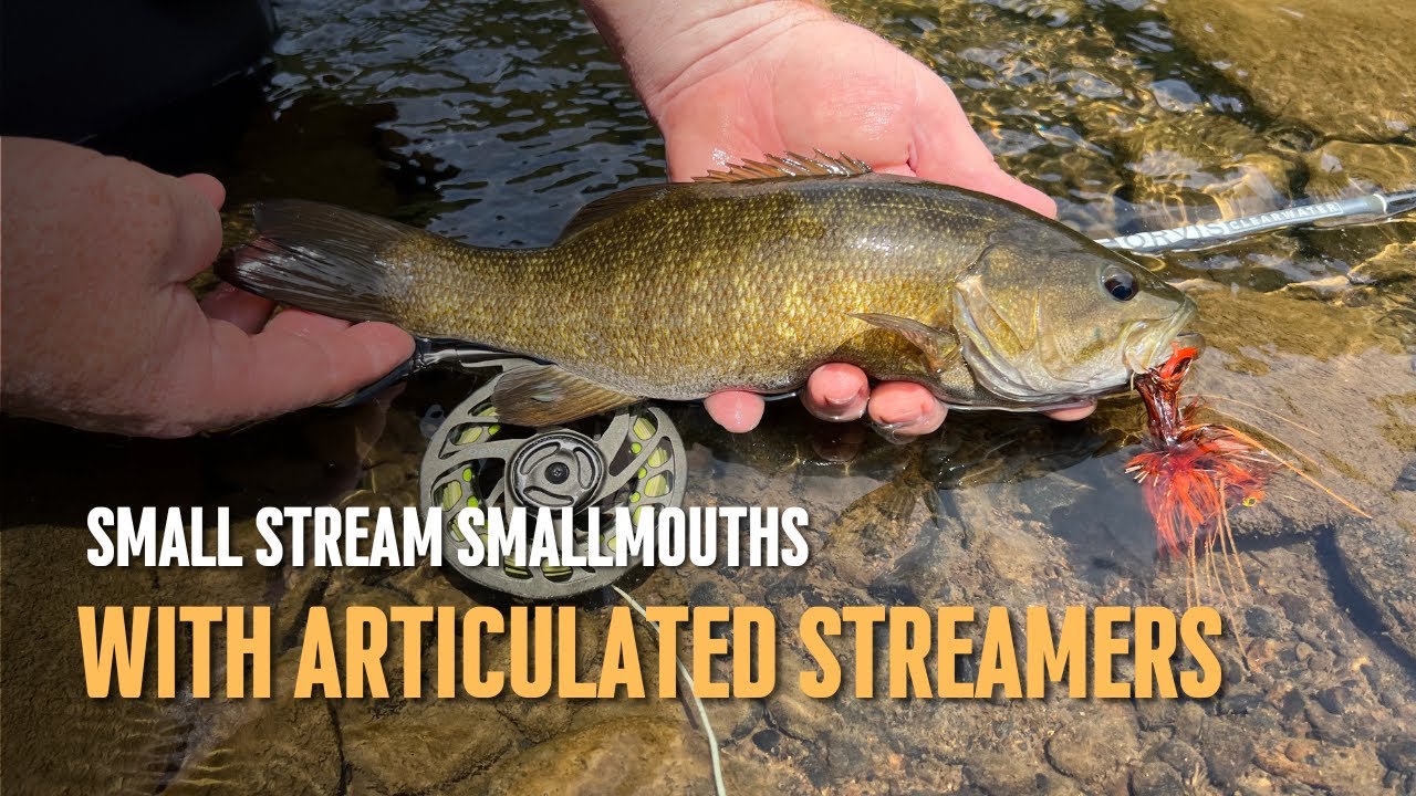 Fly fishing for Small Stream Smallmouth Bass with Articulated Flies in ...