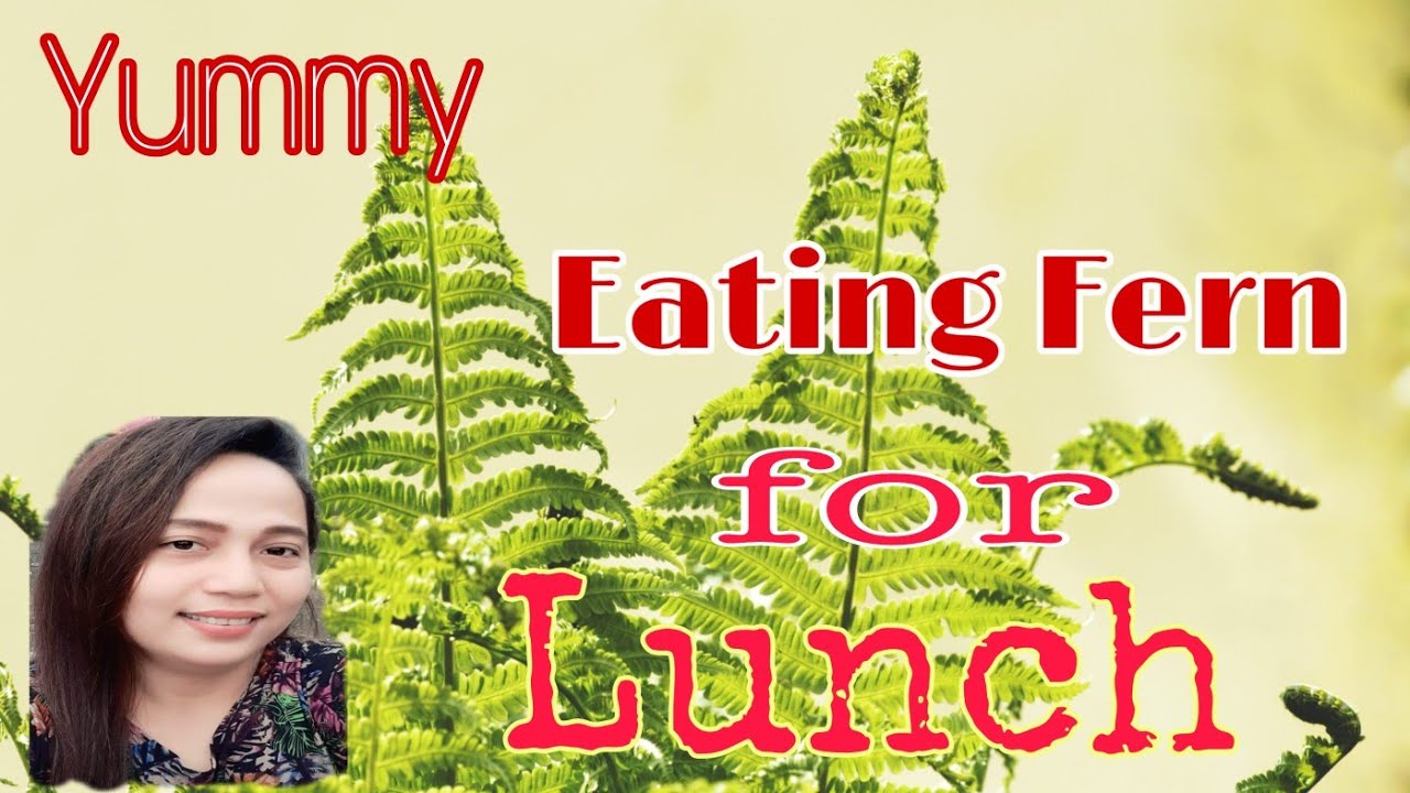 Eating Fern for Lunch.. - YouTube