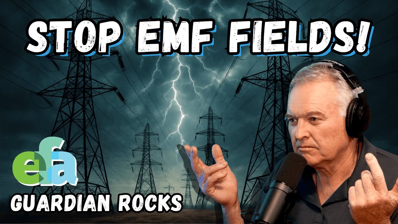 EMF Protection for Farms & Homes — Start Here | EcoFarm Aotearoa