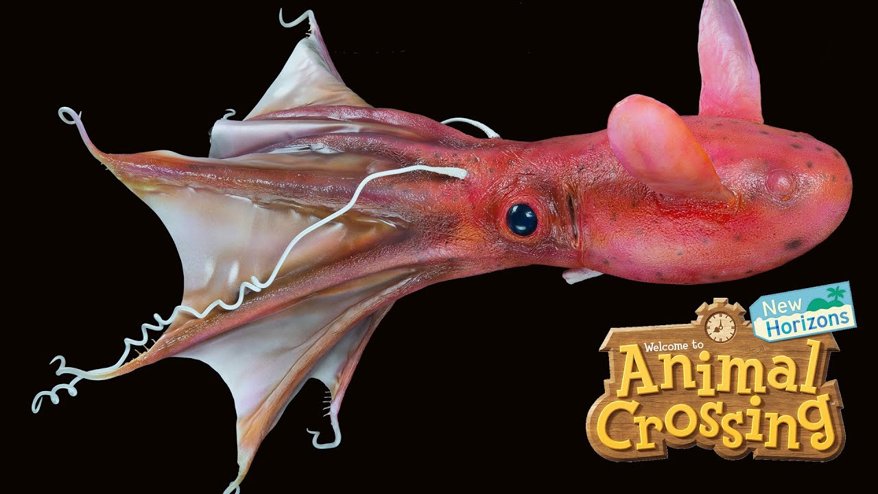 Der Vampirtintenfisch in Animal Crossing: New Horizons - YouTube