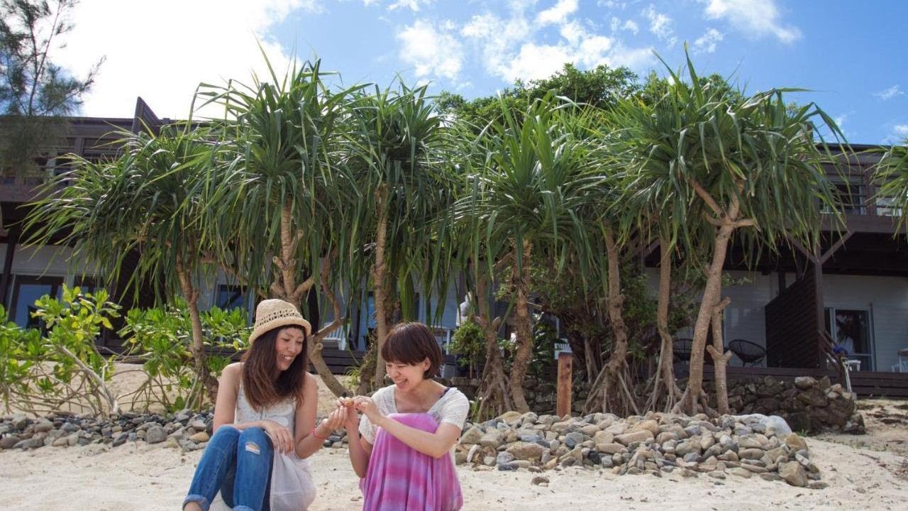 Native Sea Amami Adan On The Beach, Tatsugo, Japan - YouTube