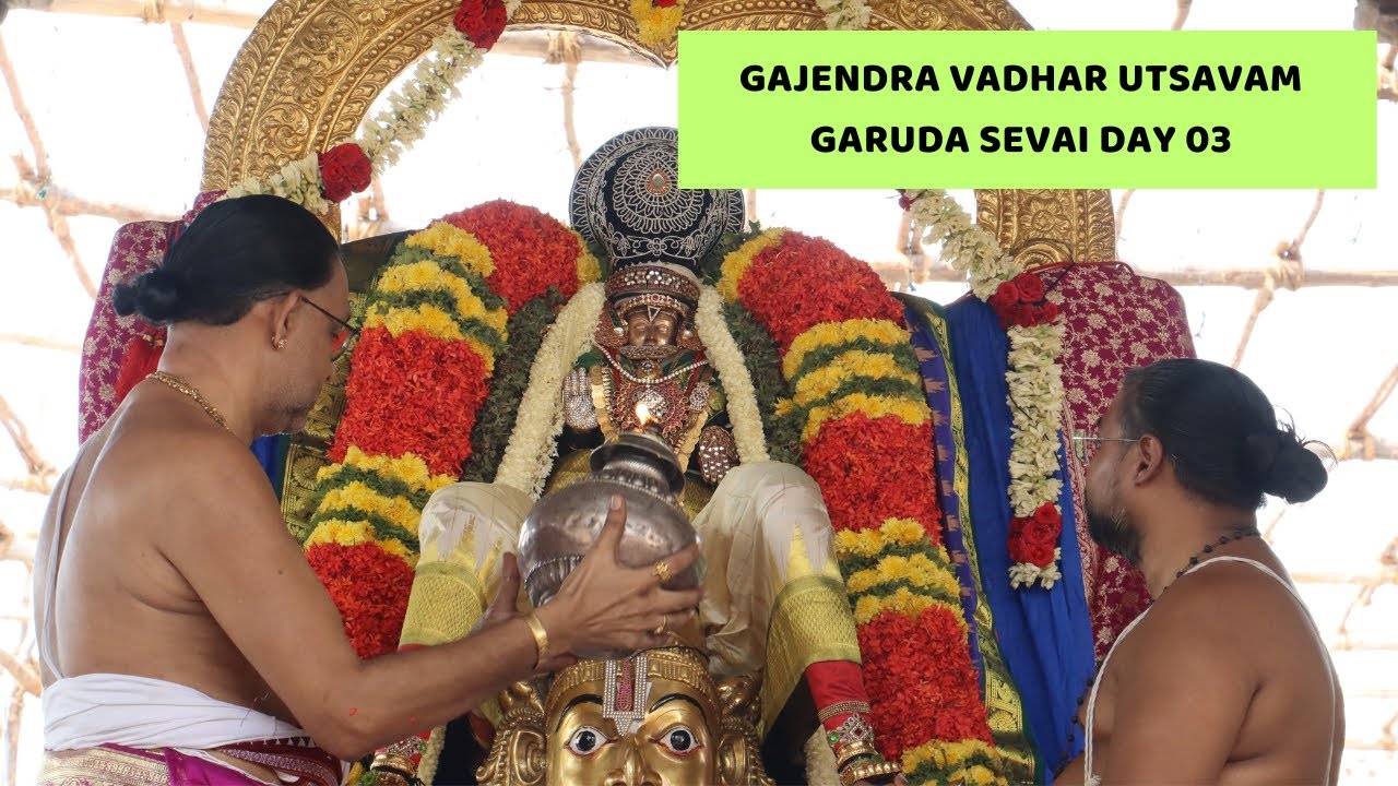 Garuda Sevai | Sri Gajendra Varadhar Utsavam Day 03 | Thiruvallikeni ...