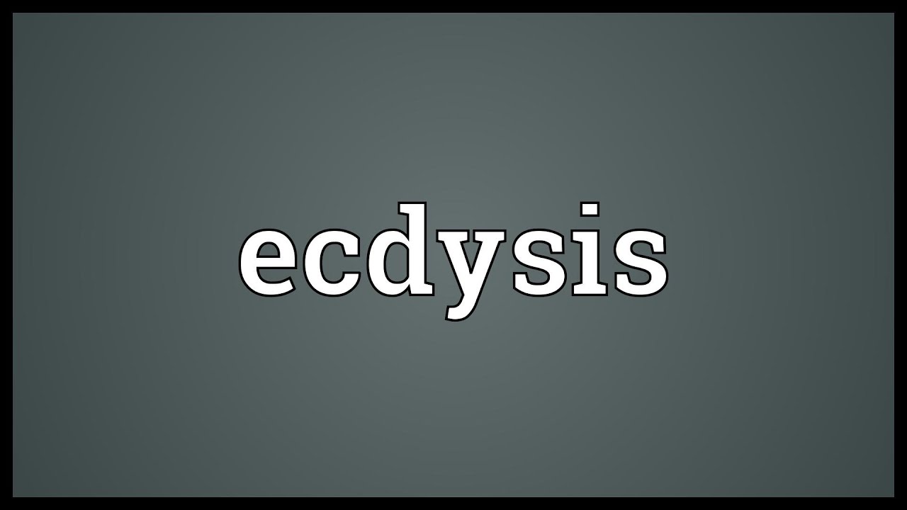 Ecdysis Meaning - YouTube
