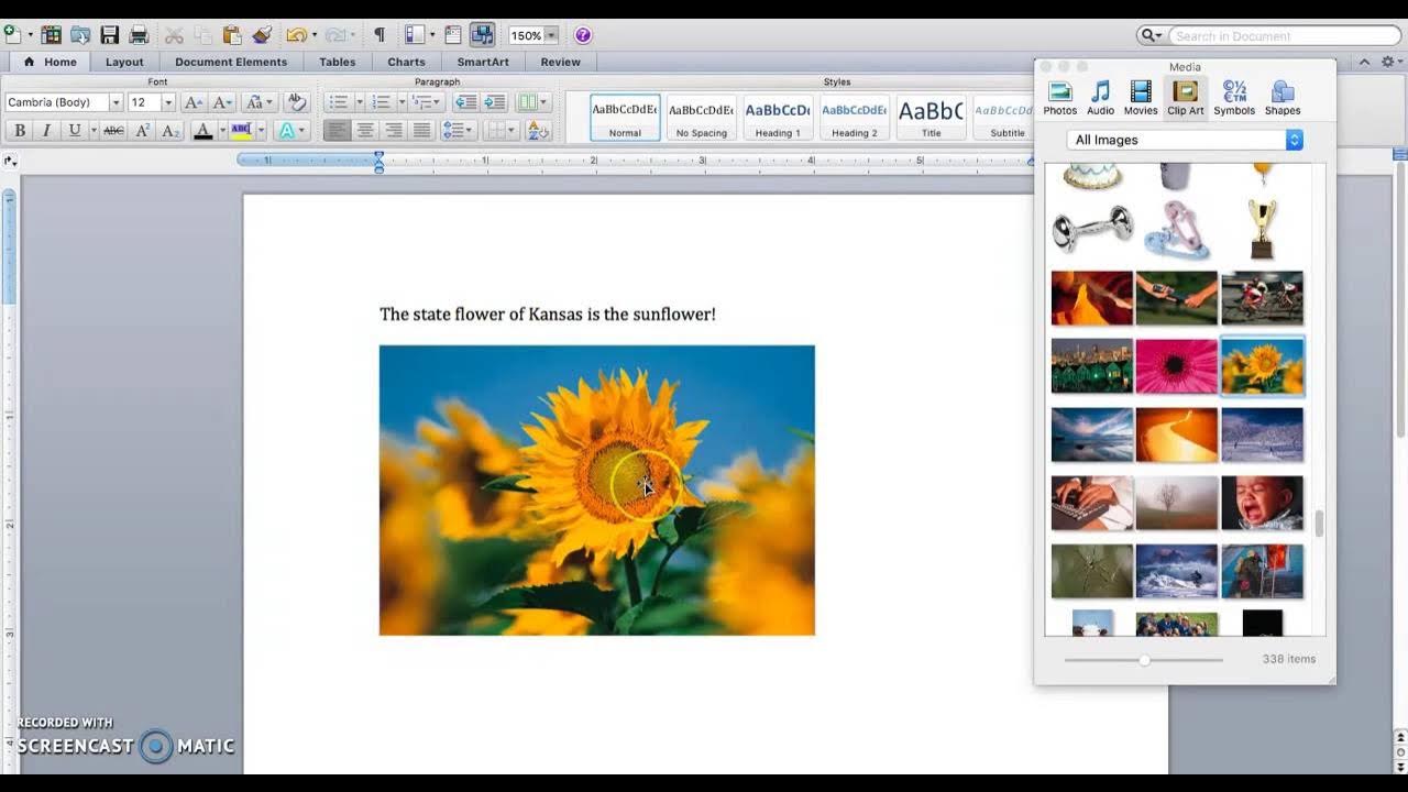How To Insert And Adjust Pictures On Microsoft Word 2013 YouTube how-to-insert-and-adjust-pictures-on-microsoft-word-2013-youtube