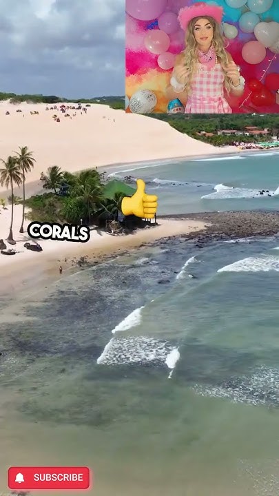 Let's Explore The Coral Reef In The Ocean! 🪸🌊 - YouTube