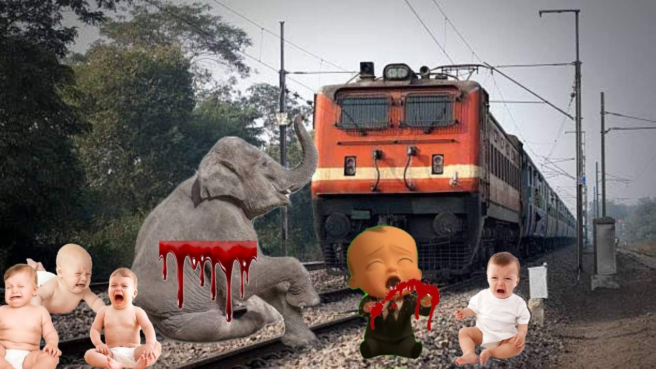 eliphant train accident and snake Kids Diana show train railroadsnake ...
