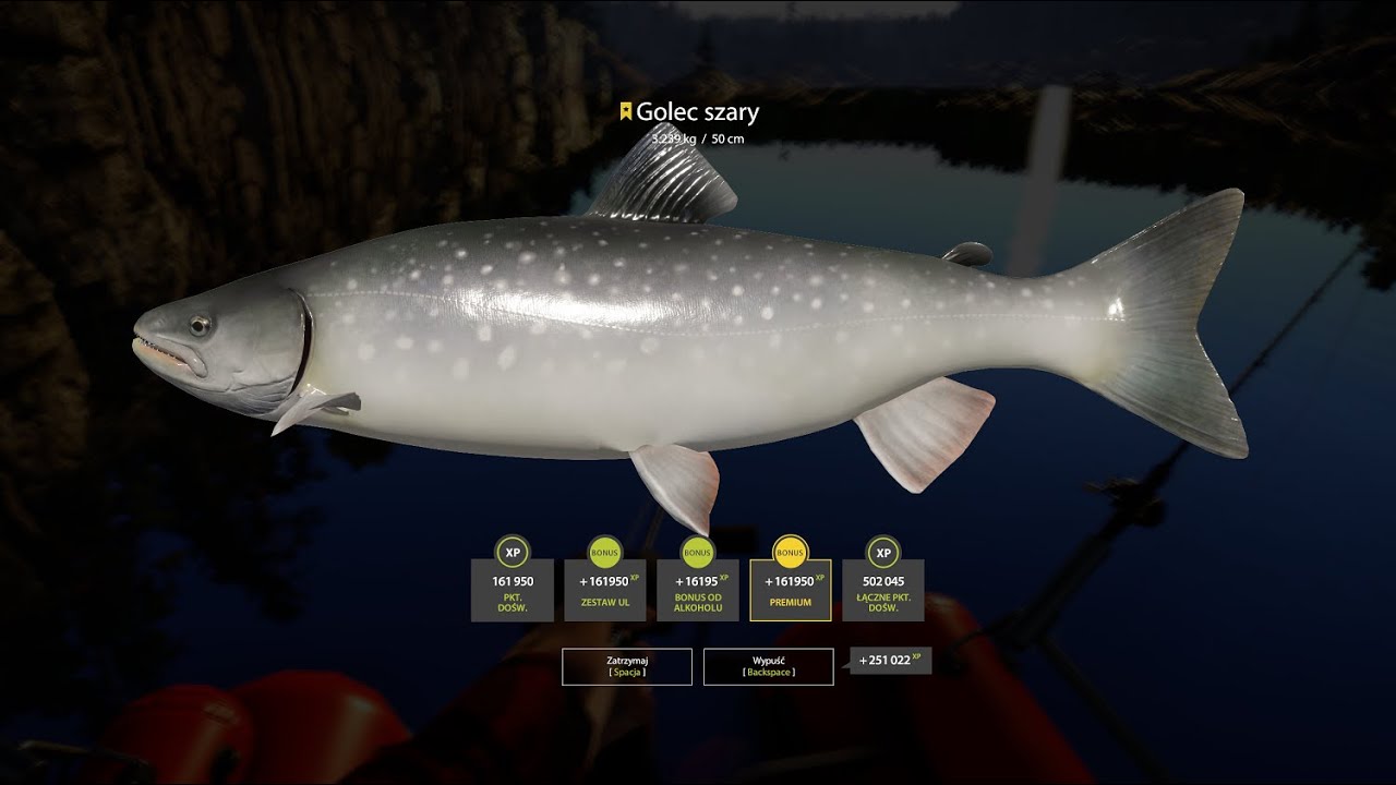 Russian Fishing 4 Gray char trophy - YouTube
