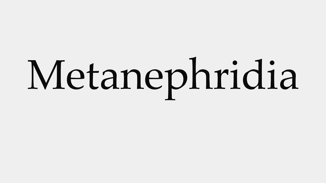 How to Pronounce Metanephridia - YouTube