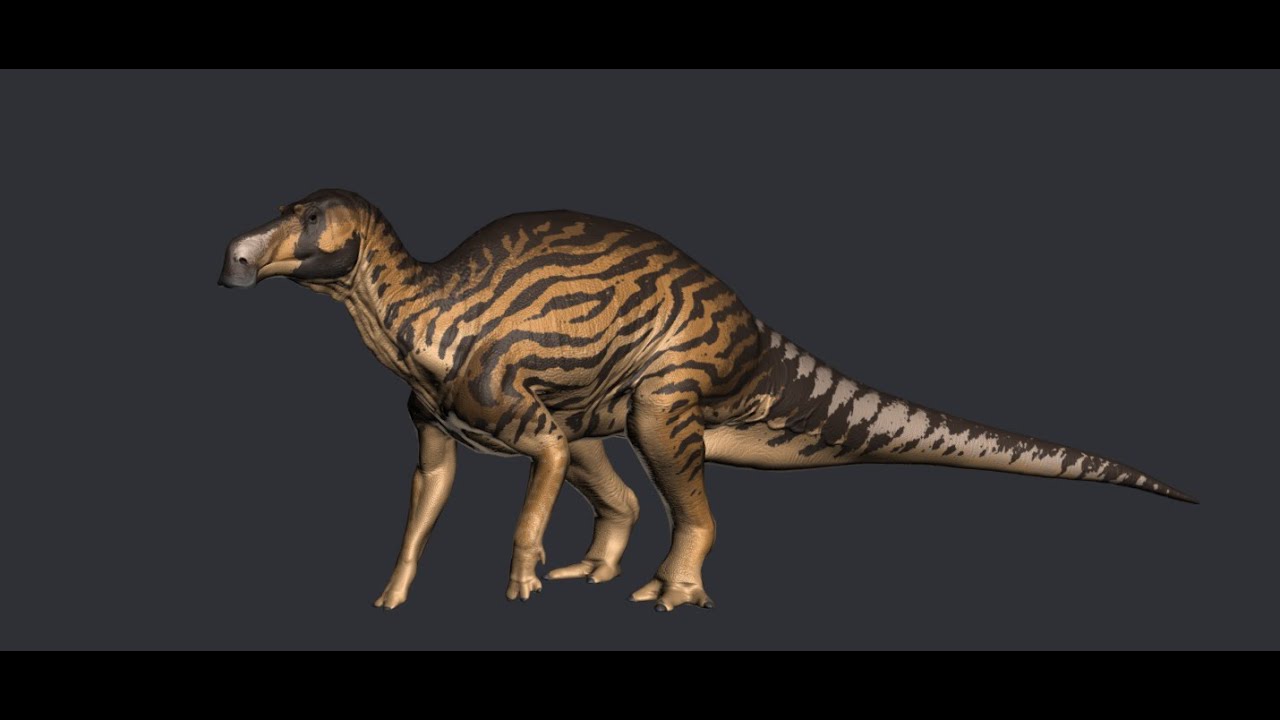 The Isle News Updates: Maia Pose and Pattern Pictures, Rex and Trike ...