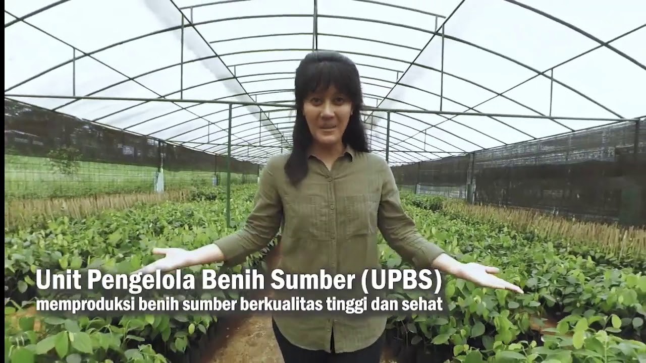 Balittro as Center of Excellence in Science and Technology of Spices ...