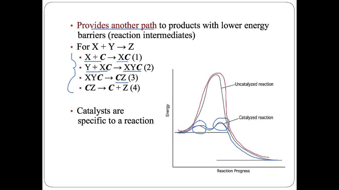 Kinetics Module 14-3 - YouTube