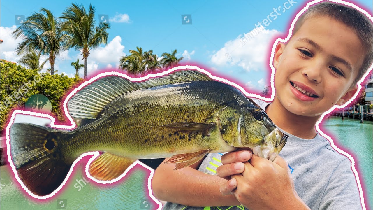 Exploring South Florida Canals for Peacock Bass Fishing Those Kids ...