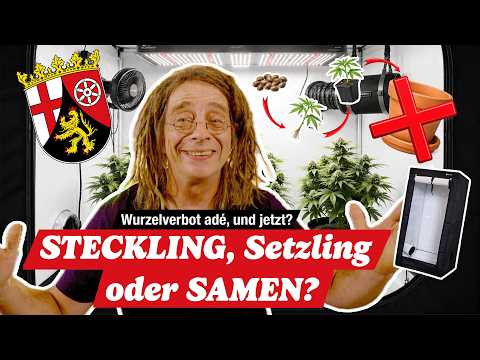 STECKLINGE, SEEDS und Setzlinge im VERGLEICH: Aber bitte mit WURZELN!