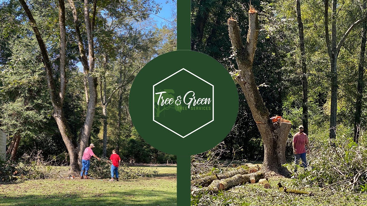 Green Tree Servicing Llc