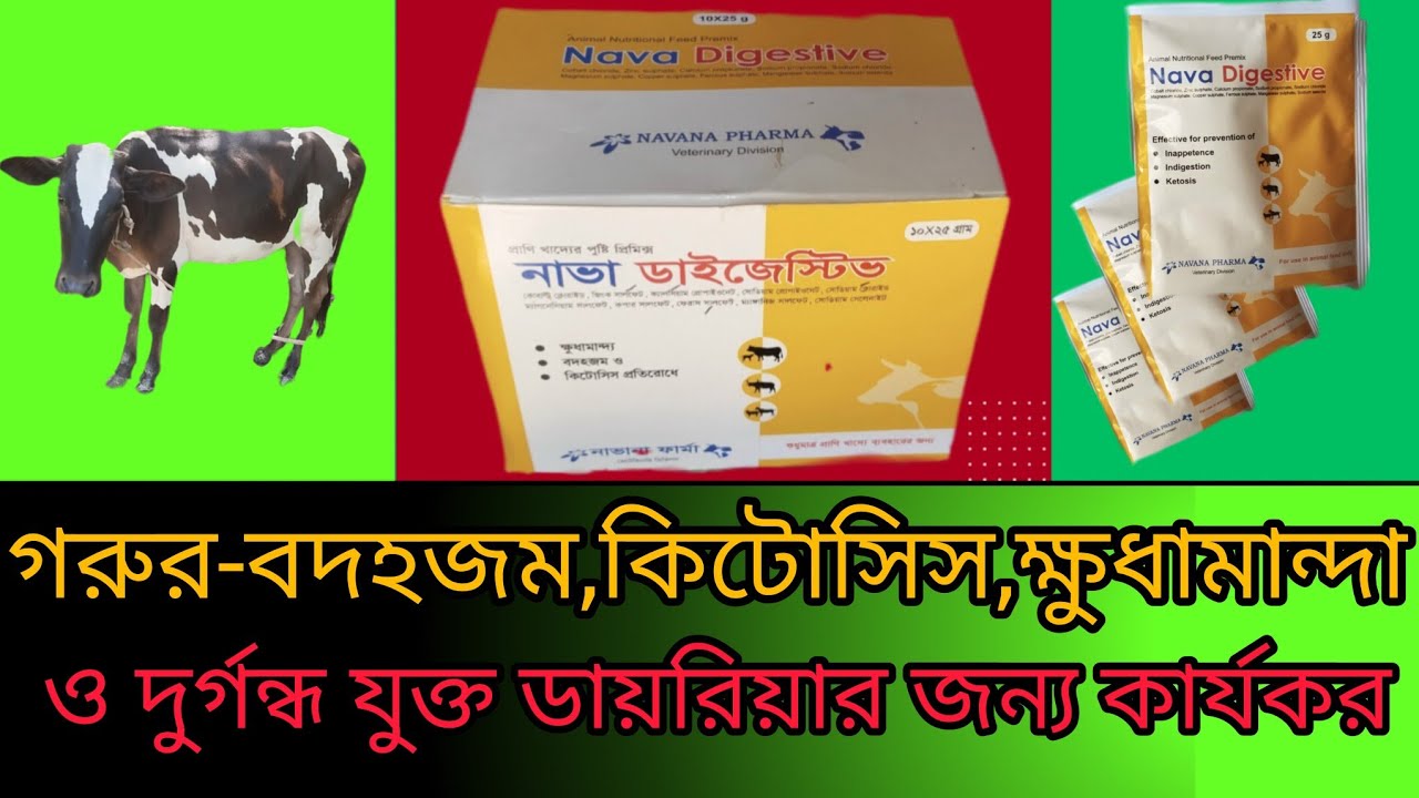 Nava Digestive Vet।নাভা ডাইজেস্টিভ পাউডারের কার্যকারিতা ও খাওয়ানো ...