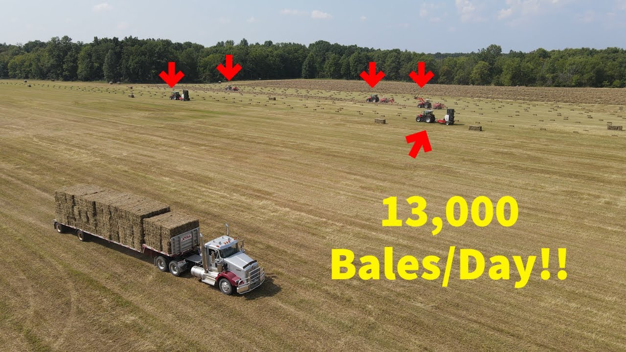 Family Farm with MASSIVE Hay Production (13,000 bales/day!!) | Farming ...