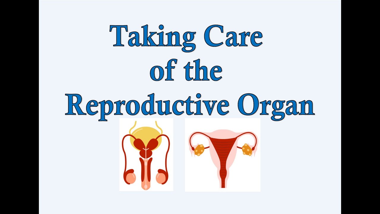 TAKING CARE OF REPRODUCTIVE ORGAN YouTube