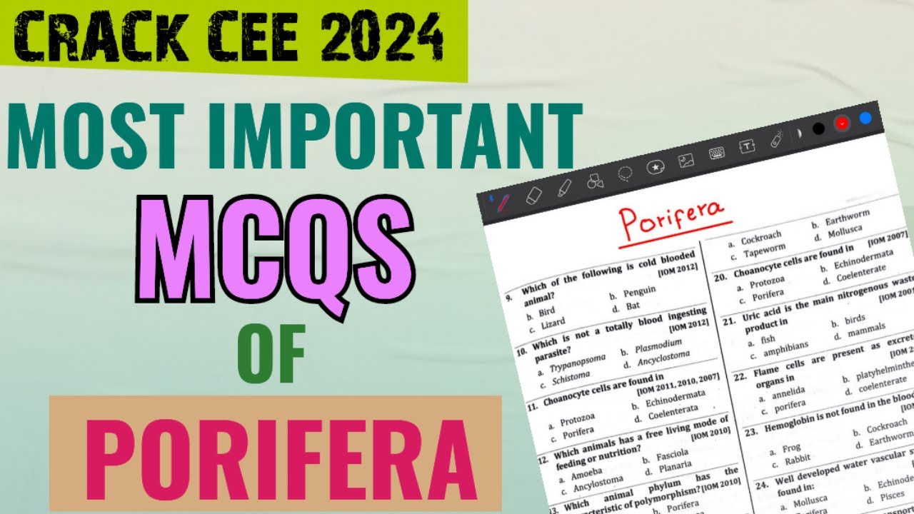 Phylum PORIFERA MCQ question for CEE Exam 2024 - YouTube