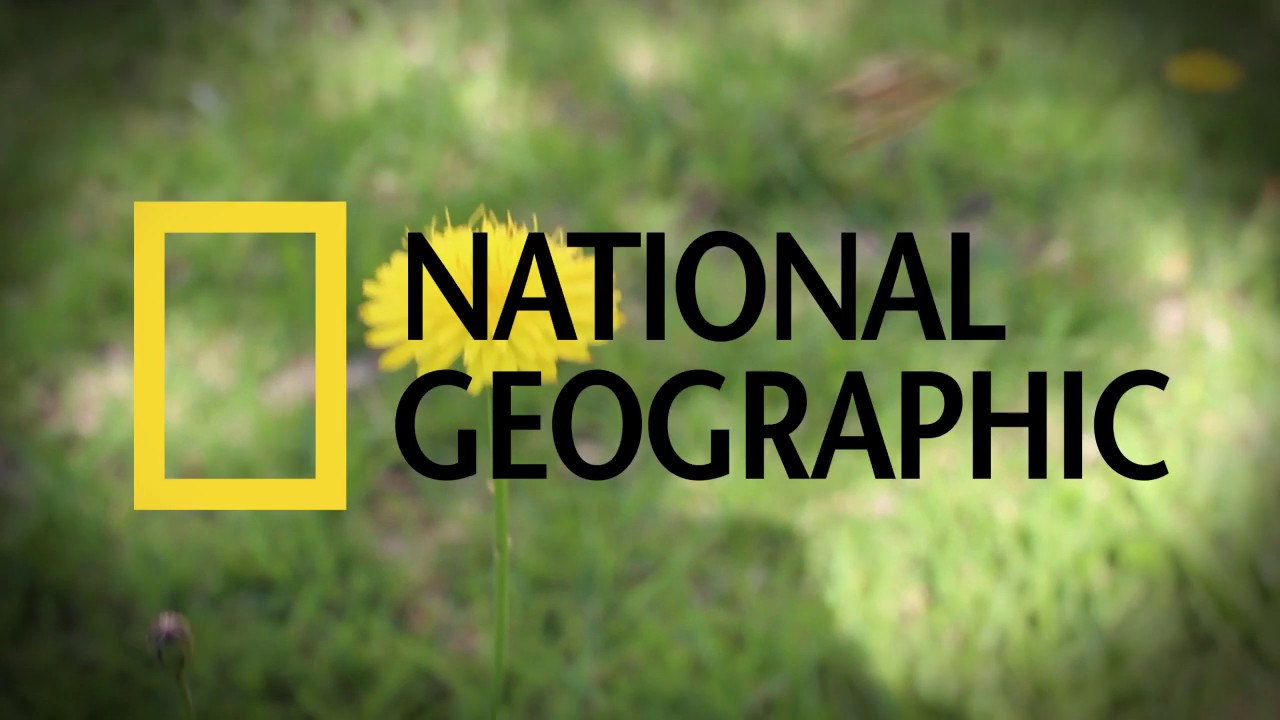 National Geographic ident - YouTube