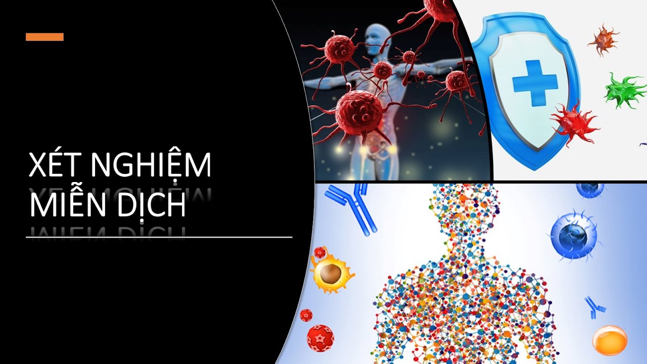 KỸ THUẬT XÉT NGHIỆM MIỄN DỊCH - YouTube