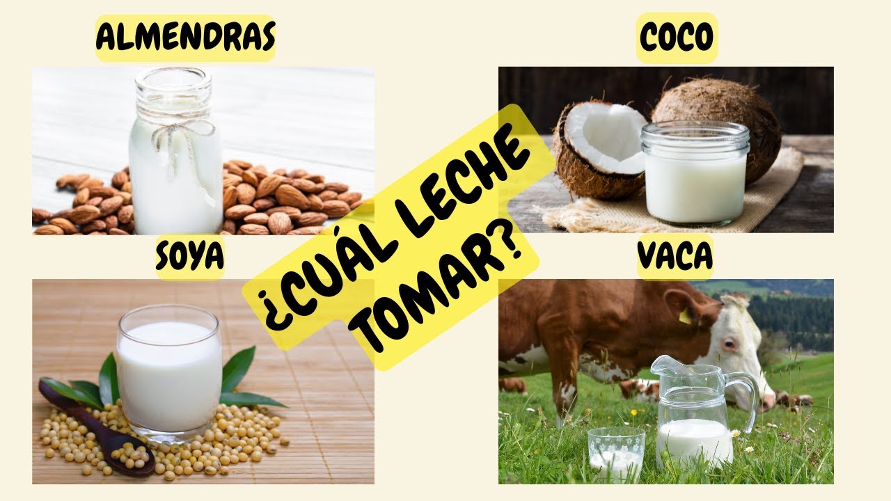 ⚡🥛LECHE de Almendras, SOYA, Coco y VACA: 💥¿Cuál es la Mejor y Más ...