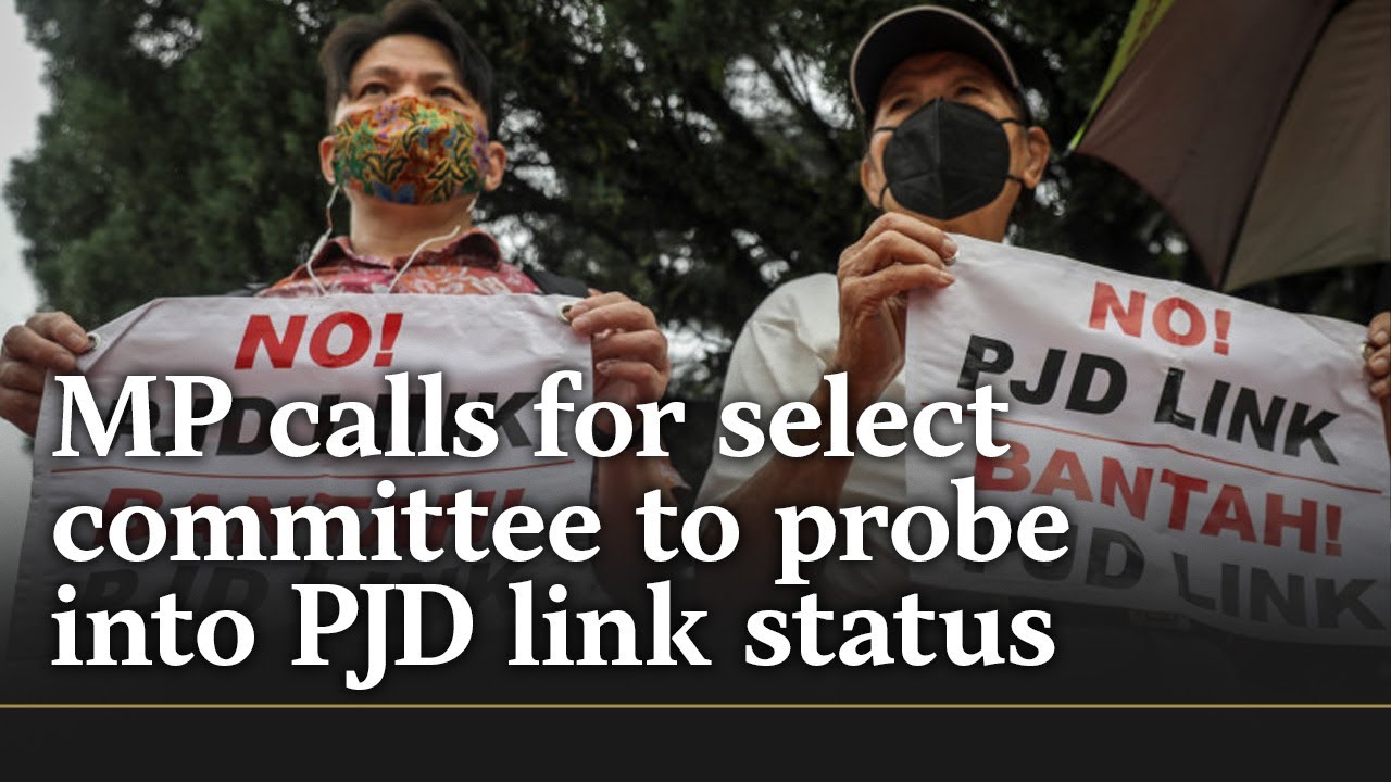 MP calls for select committee to probe into PJD link status - YouTube