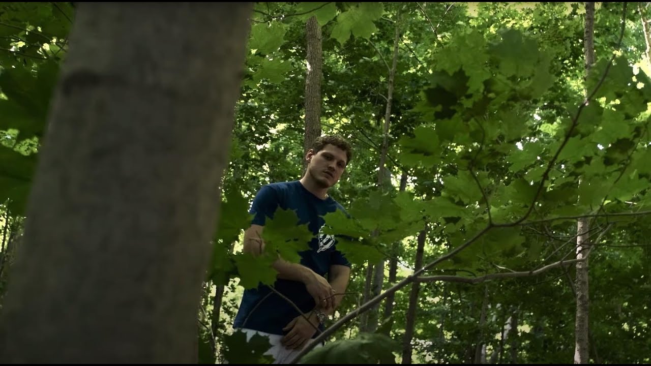 Will Ryte - Big Fish (Official Music Video) - YouTube