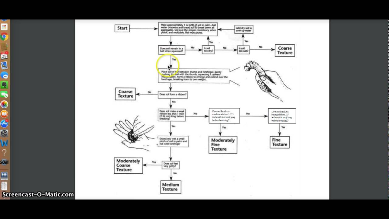 Land Judging Part 1 - YouTube