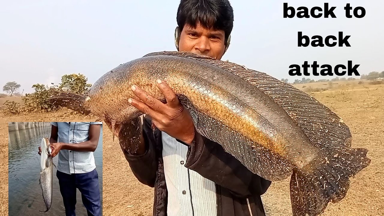 back to back attack big monster | 4 kg big monster maral ka shikar🎣😱 - YouTube
