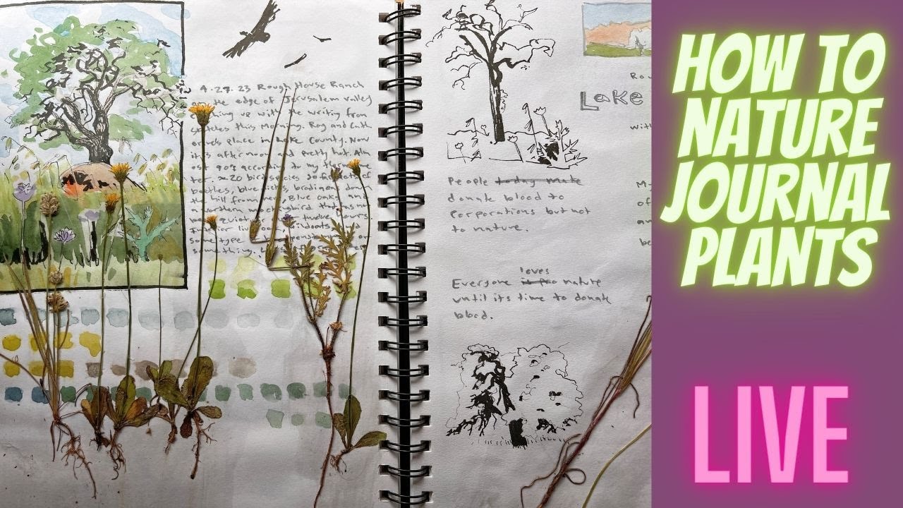 How to Nature Journal Plants: Hard, Easy, Boring? - YouTube