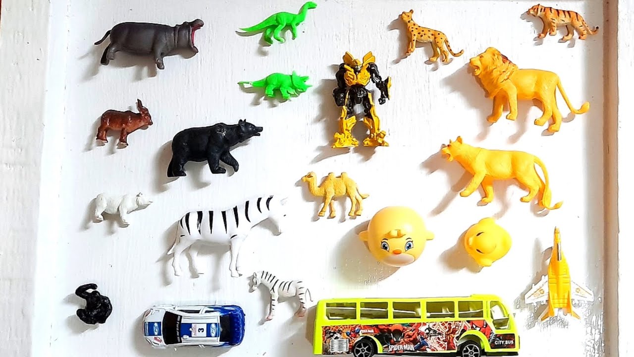 Menemukan Mobil Mobilan, Bus Mainan,Singa, Zebra, Kudanil, Unta, Bebek ...