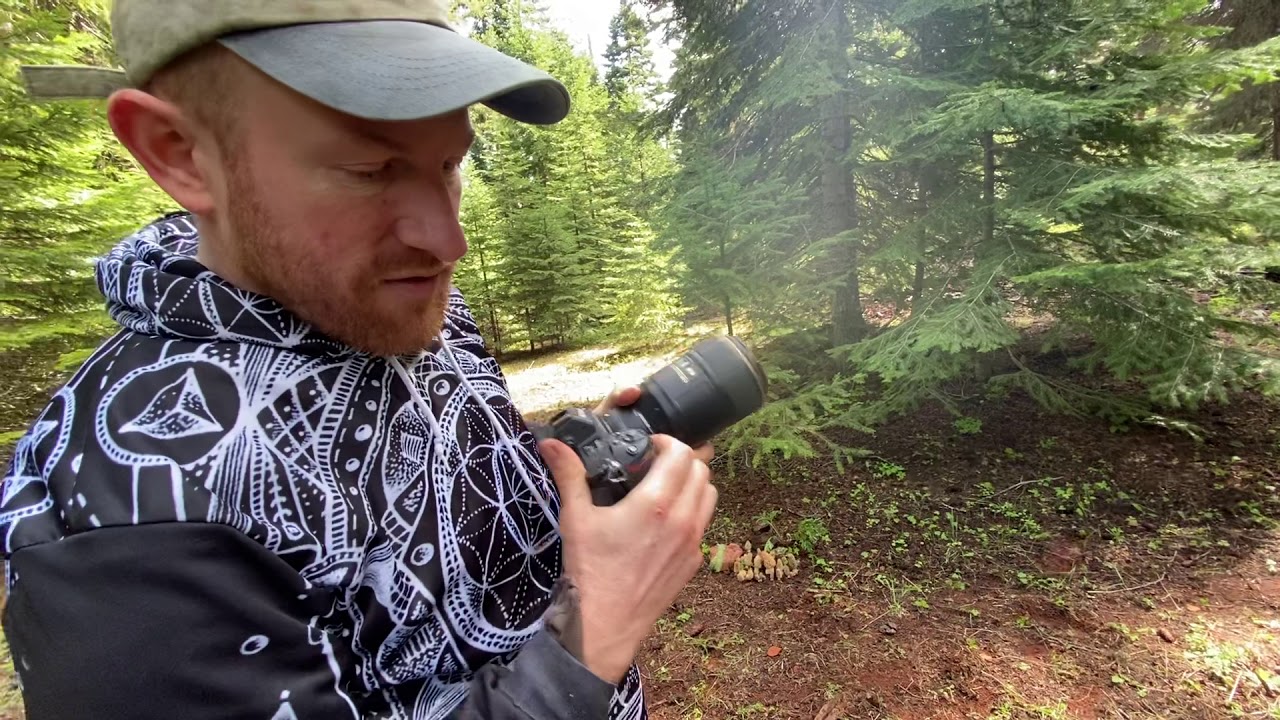 Alan Rockefeller tells us how he takes pictures of mushrooms. - YouTube