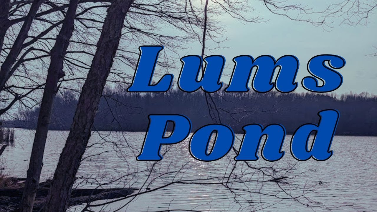 Lums Pond State Park - Delaware's Largest Freshwater Pond - YouTube