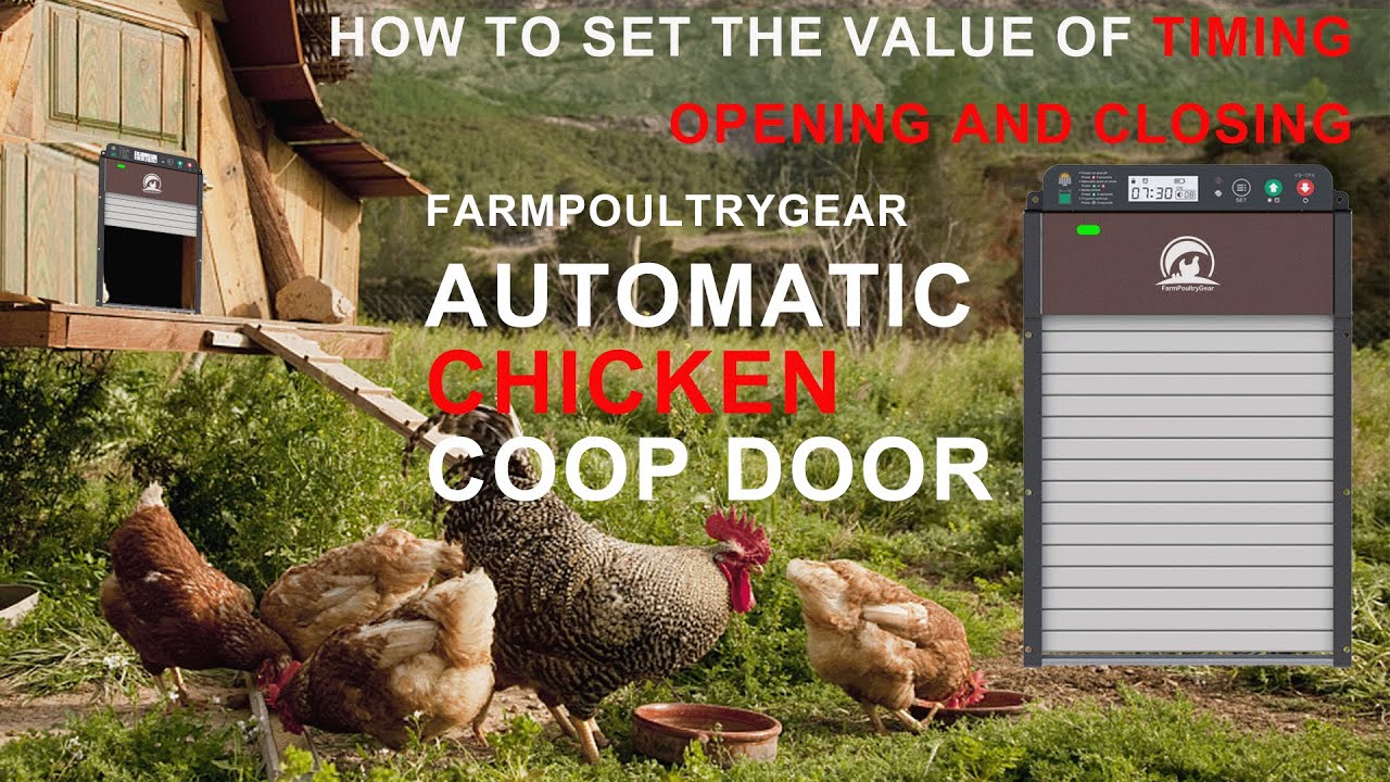 How to set the value of timing opening and closing——Automatic Chicken ...