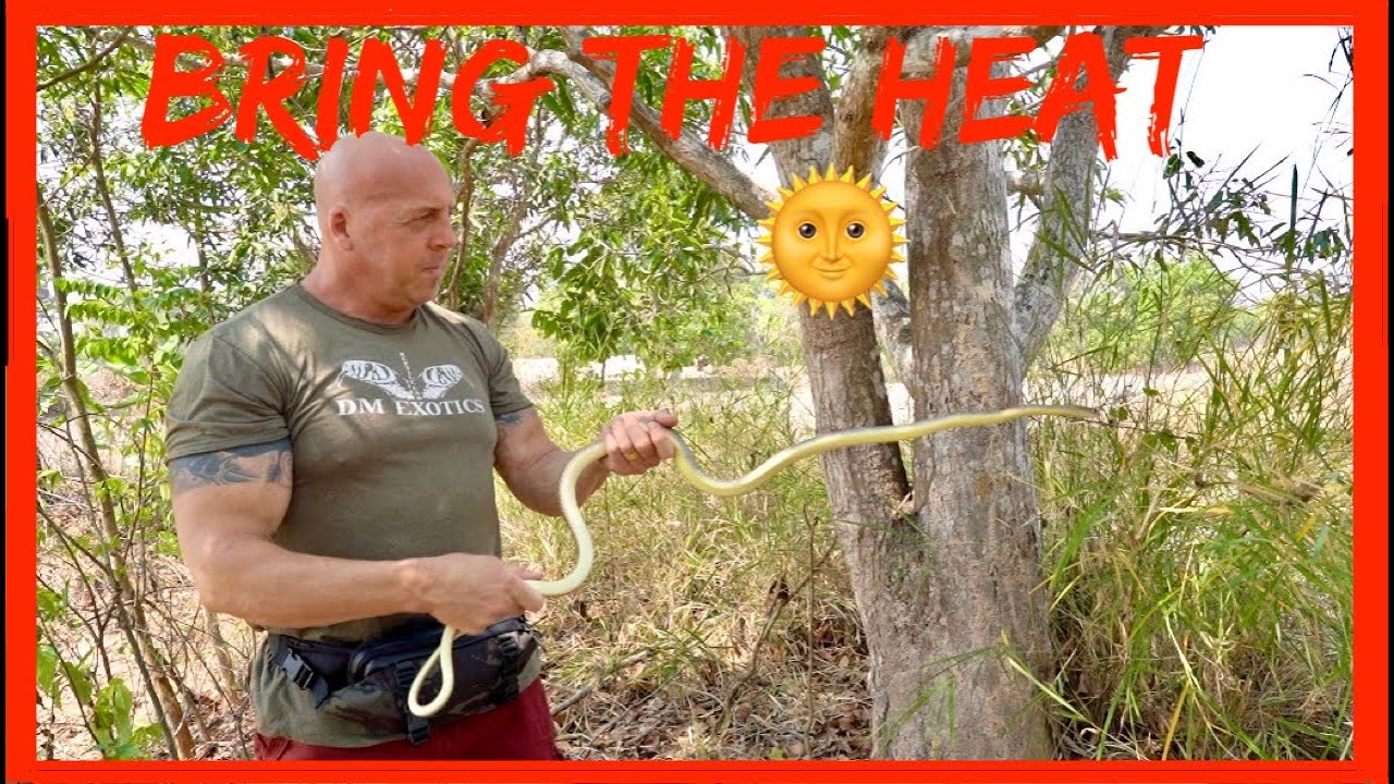 BRING THE HEAT - YouTube